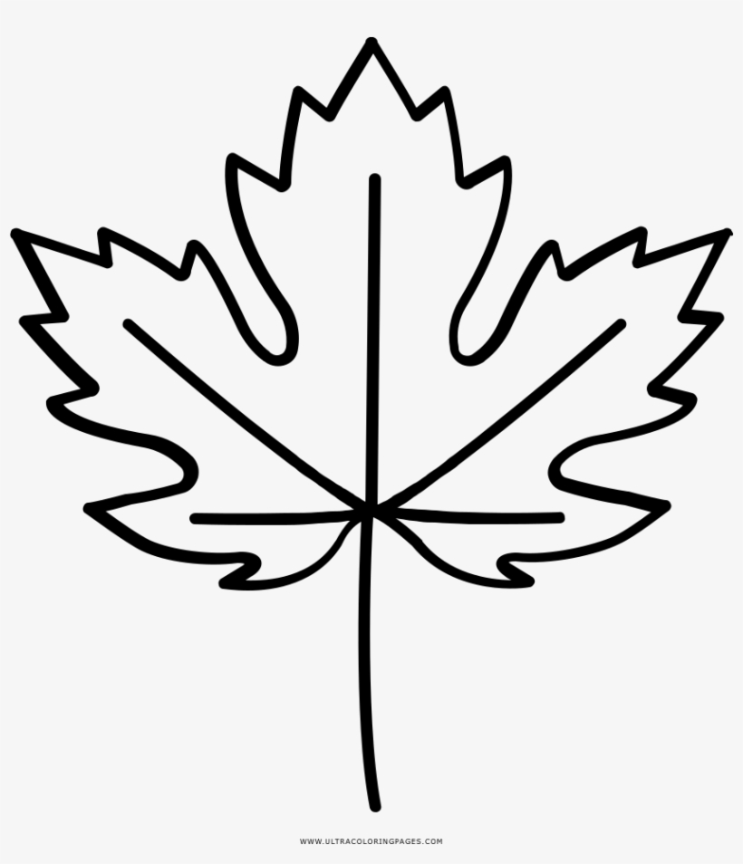 Download Transparent Maple Leaf Coloring Page Pages - Toronto Maple ...