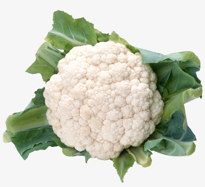 Download Transparent Vegetable Clipart Cauliflower - Cauliflower Png ...