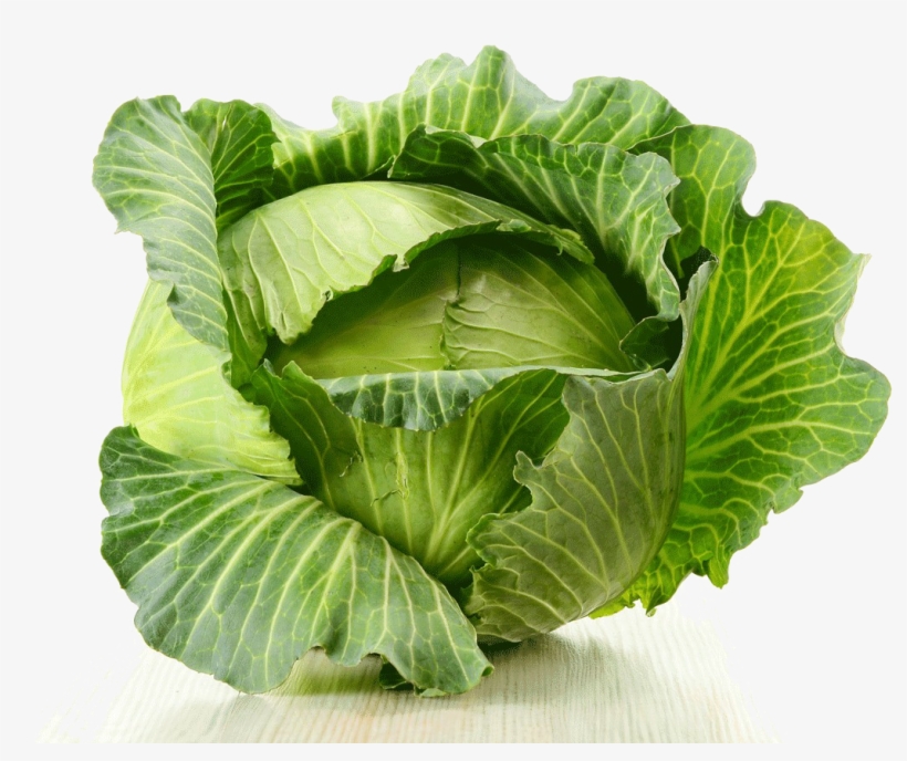 Cabbage Png Image - Top View Plant Top Photoshop - 1200x883 PNG ...