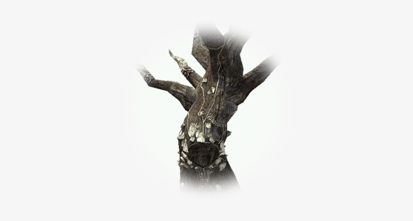Treant Old Tree - Icon - 360x360 PNG Download - PNGkit