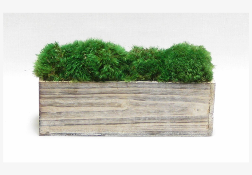 - Wooden Rect Short Container White Stain - Stain - 800x800 PNG ...