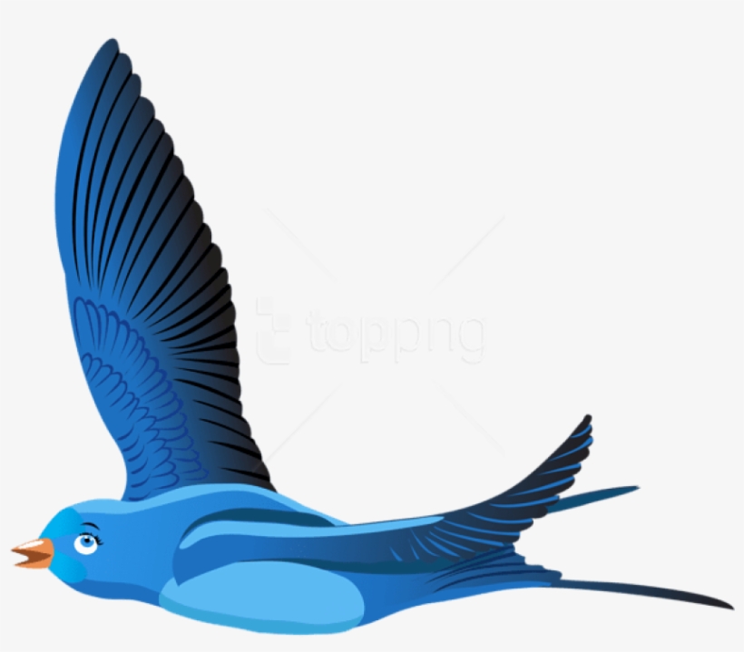 Free Png Download Blue Bird Cartoon Transparent Clipart - Bird Cartoon ...