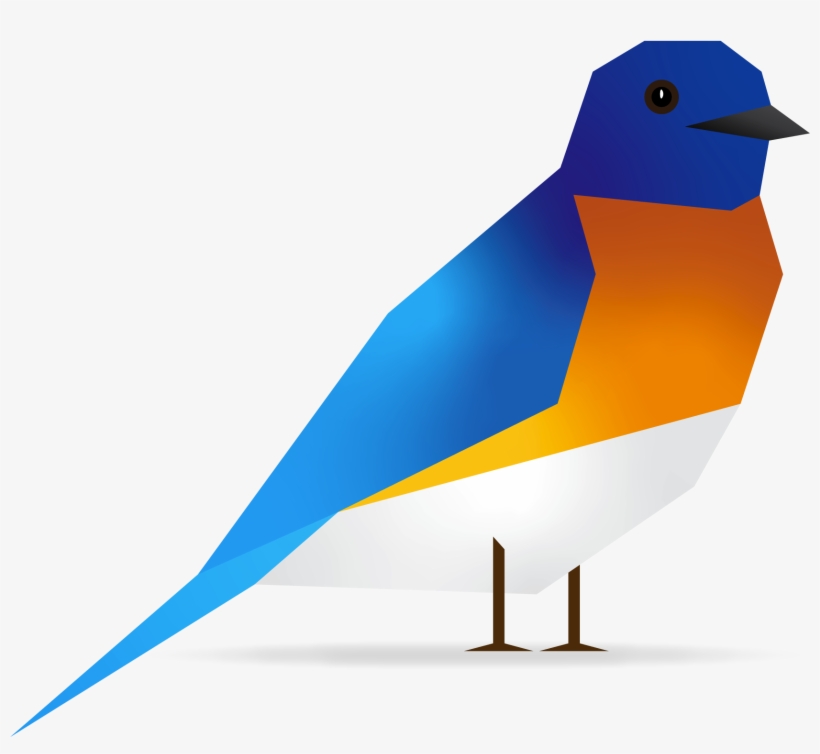 Bluebird Tech Solutions Helping Others Fly With Their - Mountain ...