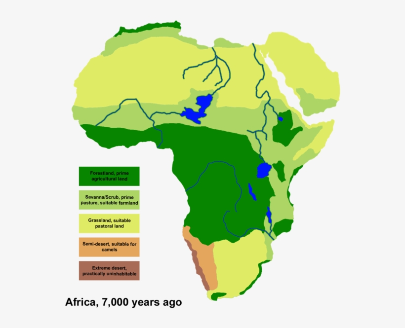 Download Transparent Simon Kuestenmacher - African Savanna Biome Map ...
