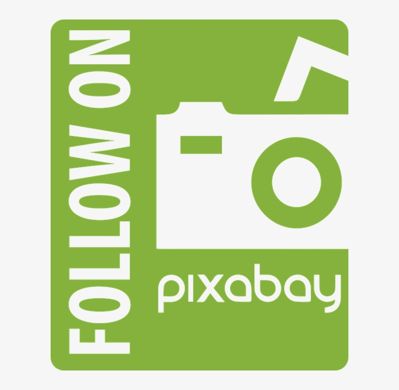Icon, Button, Logo, Members, Social Networks, Buttons - Pixabay - 612x720 PNG Download - PNGkit