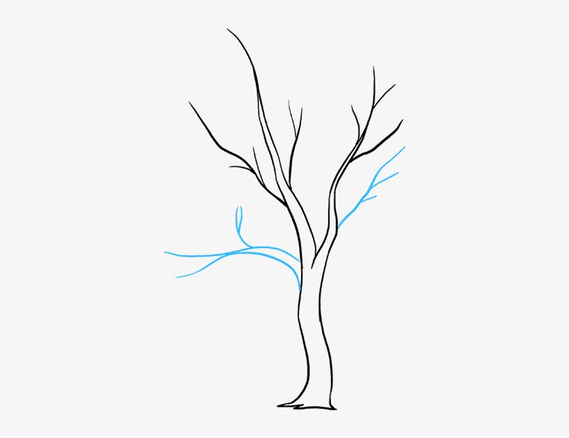 How To Draw Fall Tree - Drawings Of Trees Falling - 680x678 PNG ...