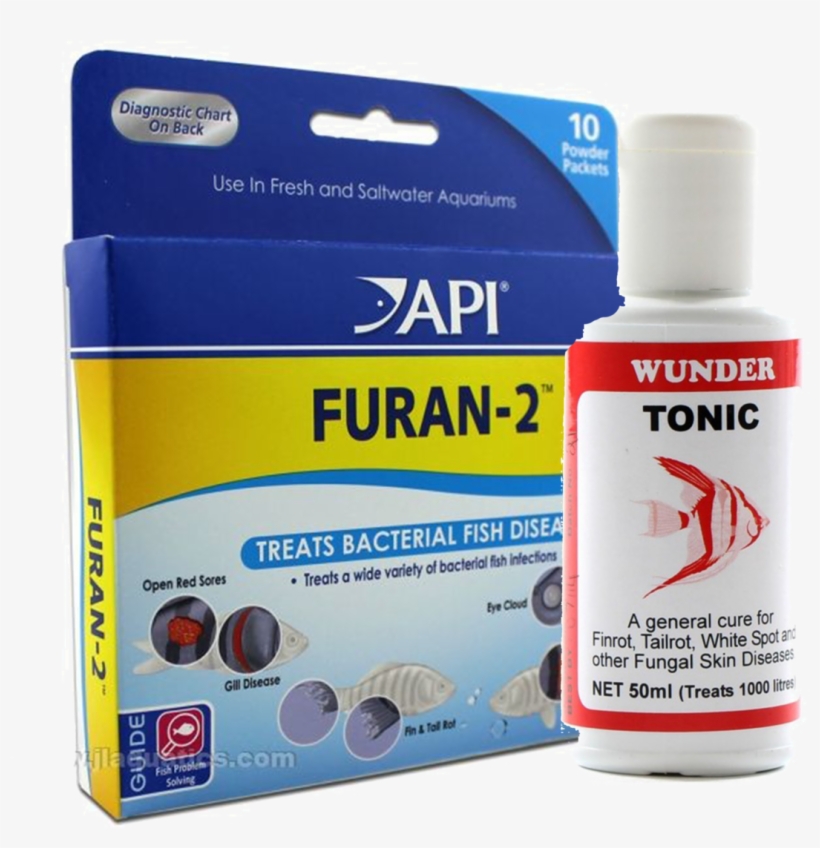 Fish Medicine Api - 1200x1200 PNG Download - PNGkit