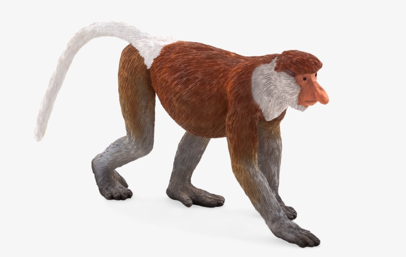 Wildlife - Proboscis Monkey Toy - 2722x1814 PNG Download - PNGkit