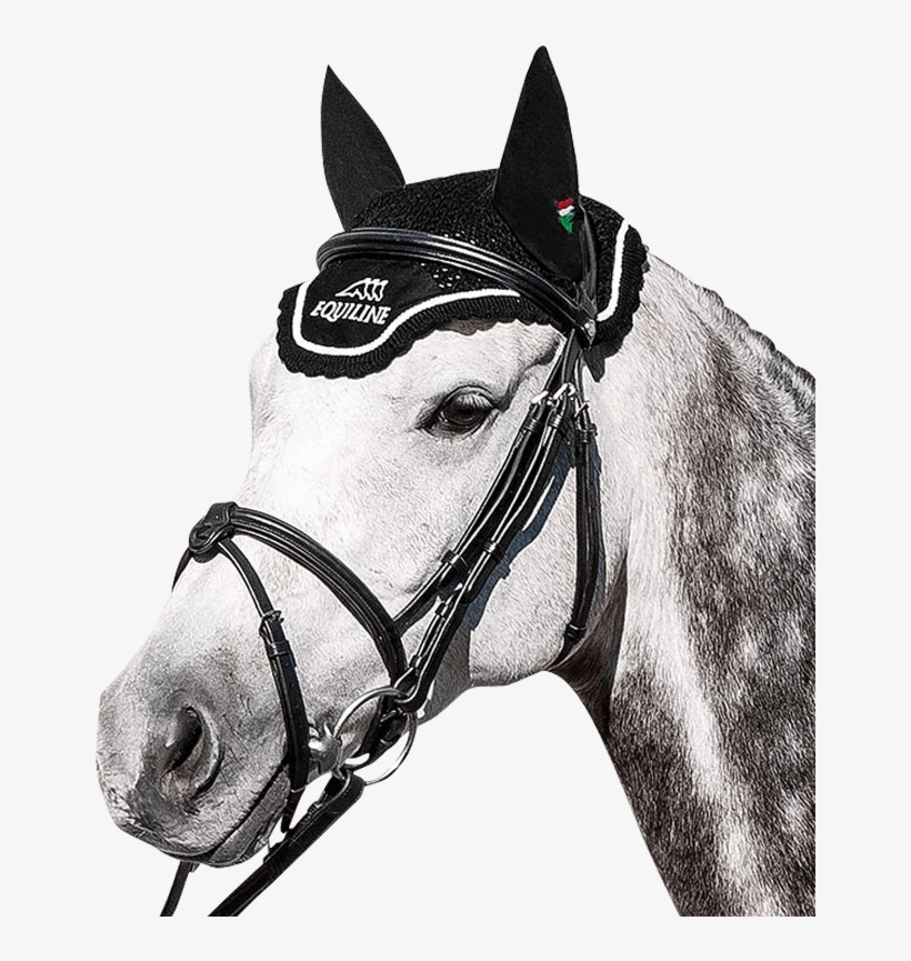Fly Veil Outline By Equiline - Equiline Ear Bonnet - 800x800 PNG ...