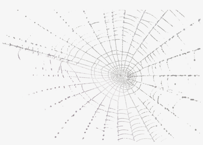 Spider Web Psd