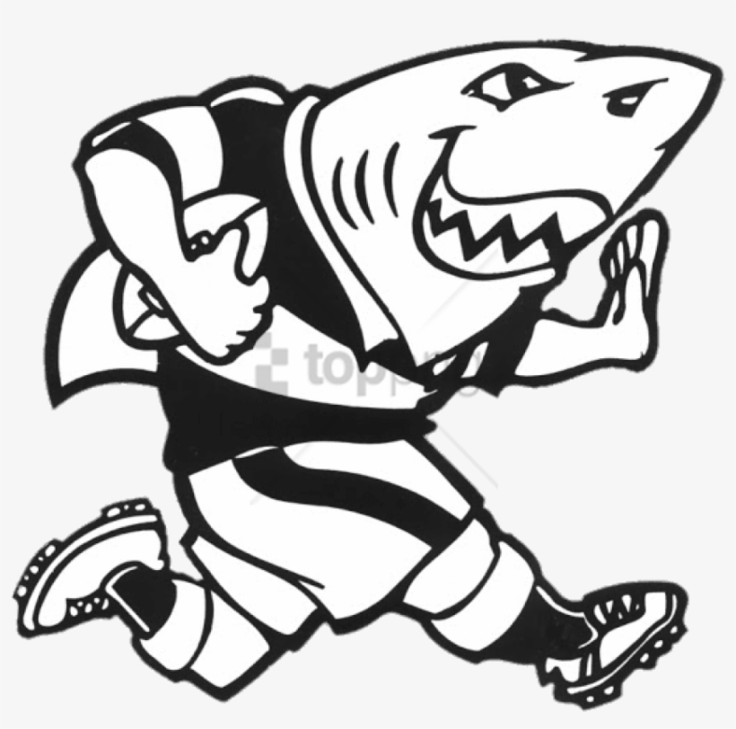 Free Png Download Sharks Rugby Mascotte Png Images - Sharks Rugby Logo ...