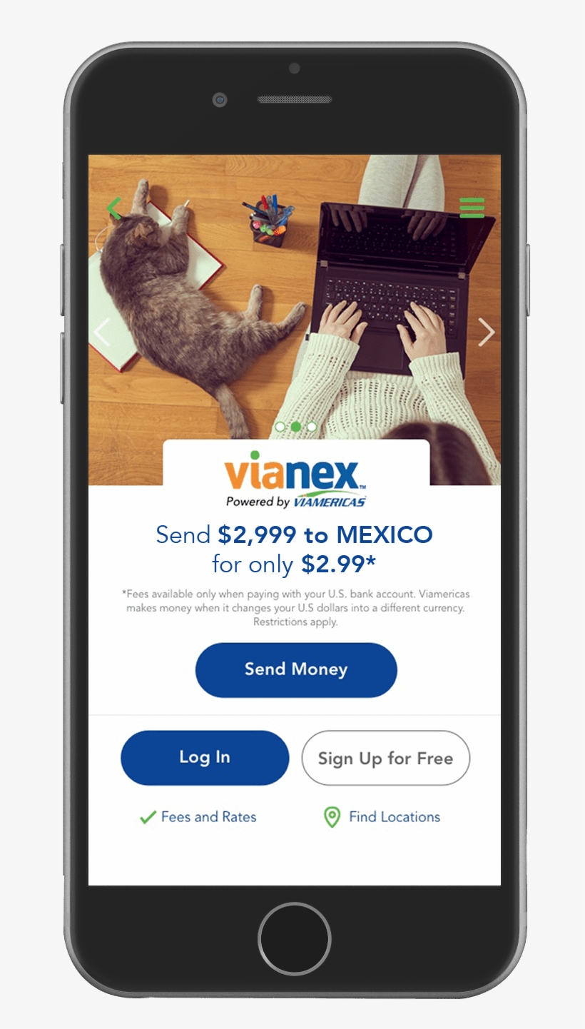 Download The Vianex Mobile App - Kitten - 702x1399 PNG Download - PNGkit
