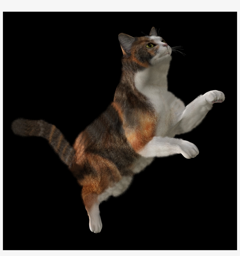 Cats Jumping Transparent Png - 1490x1520 PNG Download - PNGkit
