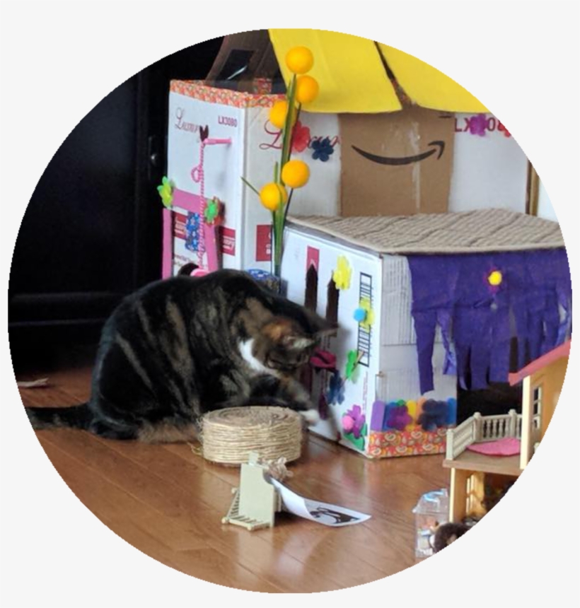 Cat Grabs Treat - 2500x2509 PNG Download - PNGkit