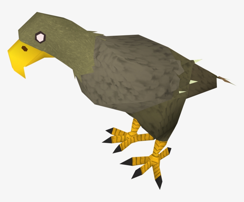 Buzzard - 770x600 PNG Download - PNGkit