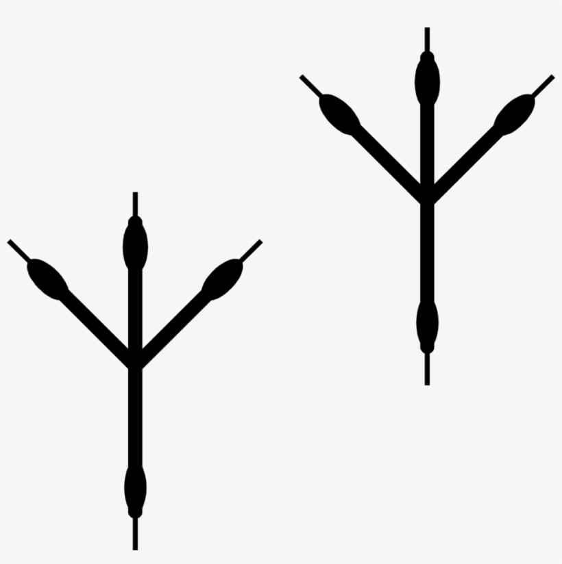 Marks, Bird, Footprints, Claws, Tracks, Markings, Mark - Bird Footprint ...