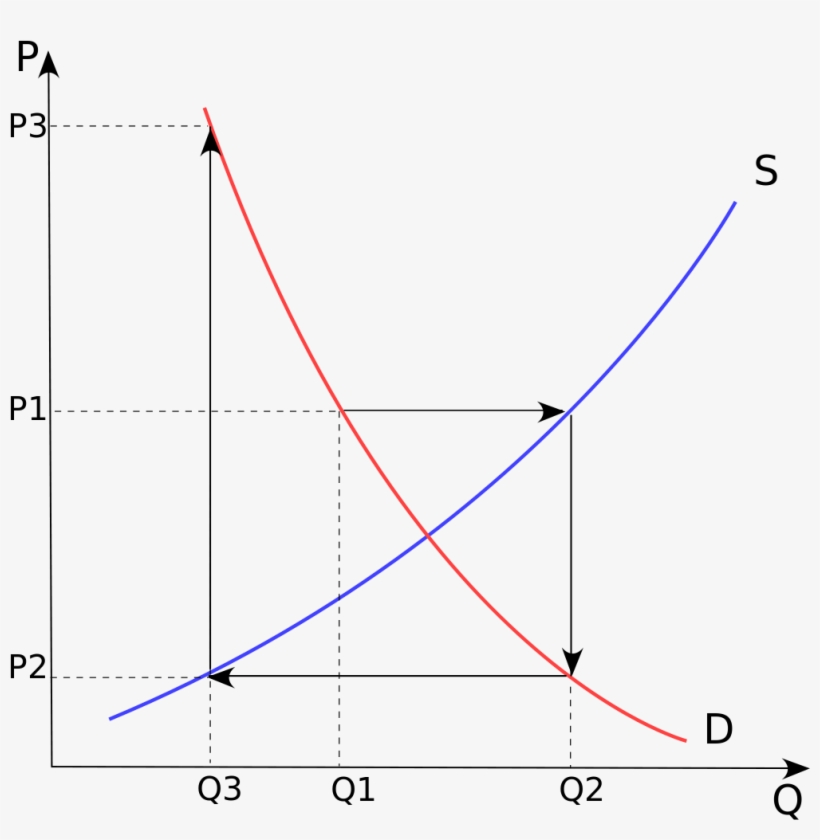 Cobweb Theory - Modèle Du Cobweb - 1024x1024 PNG Download - PNGkit