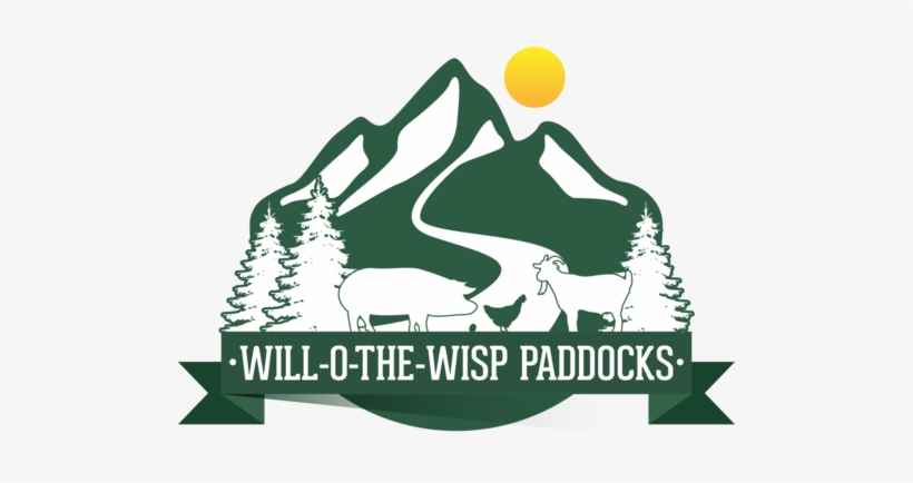 Wisp Png - 1000x1000 PNG Download - PNGkit