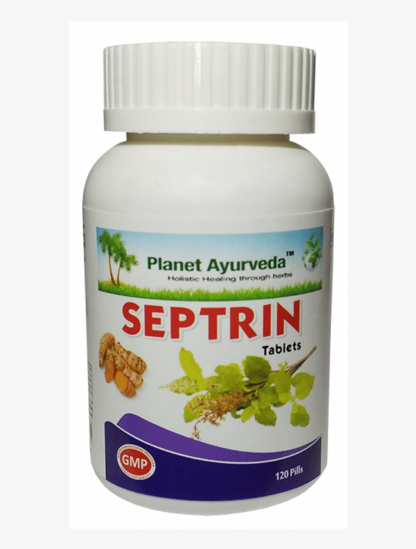 Planet Ayurveda Septrin Tablets - Chitrakadi Vati Baidyanath ...