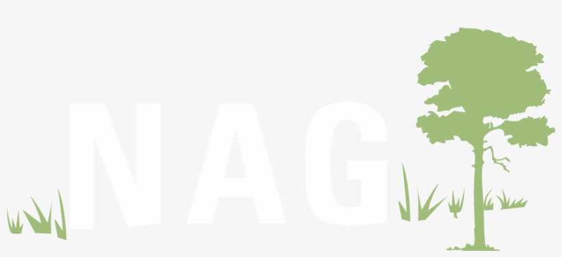 Nag Logo Text Veg - Graphic Design - 1150x470 PNG Download - PNGkit