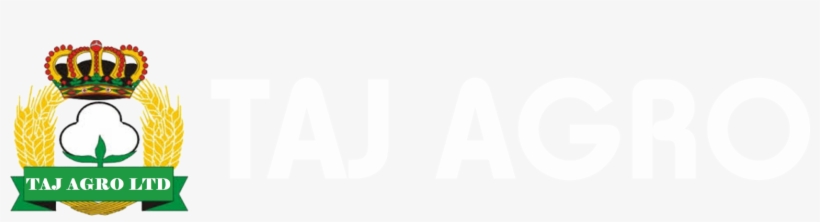 Taj Logo - Graphics - 1530x340 PNG Download - PNGkit