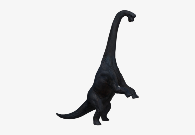 Brachiosaurus Hd Free Clipart Hq - Brachiosaurus Png - 800x500 PNG ...