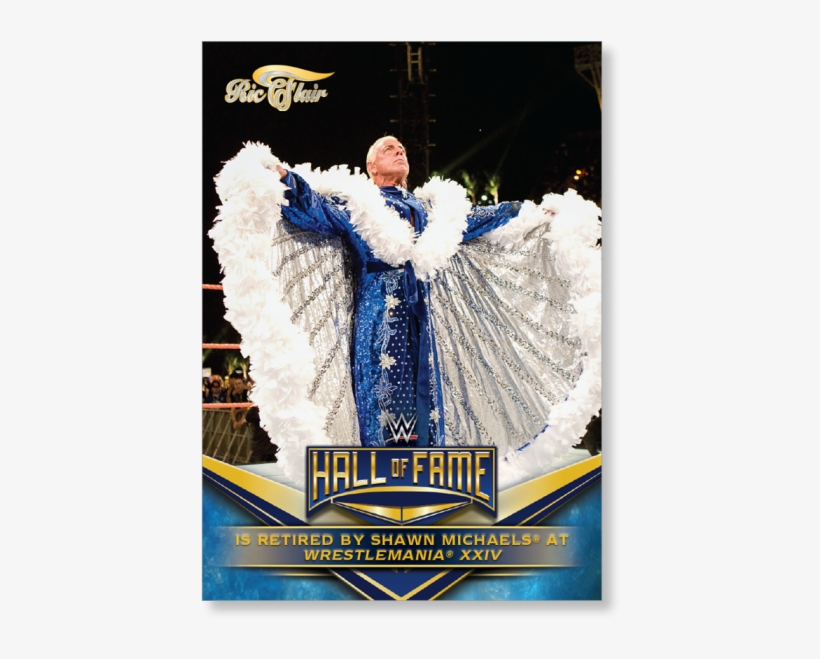 Gallery - Ric Flair Blue Robe - 700x700 PNG Download - PNGkit
