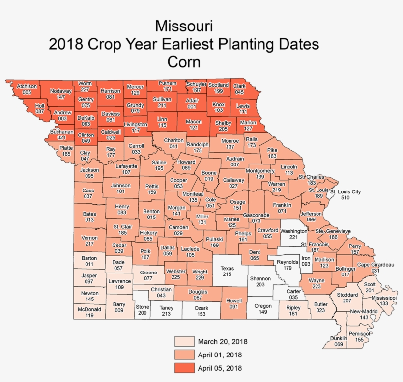 Mo Corn Earliest - Diagram - 1200x1111 PNG Download - PNGkit