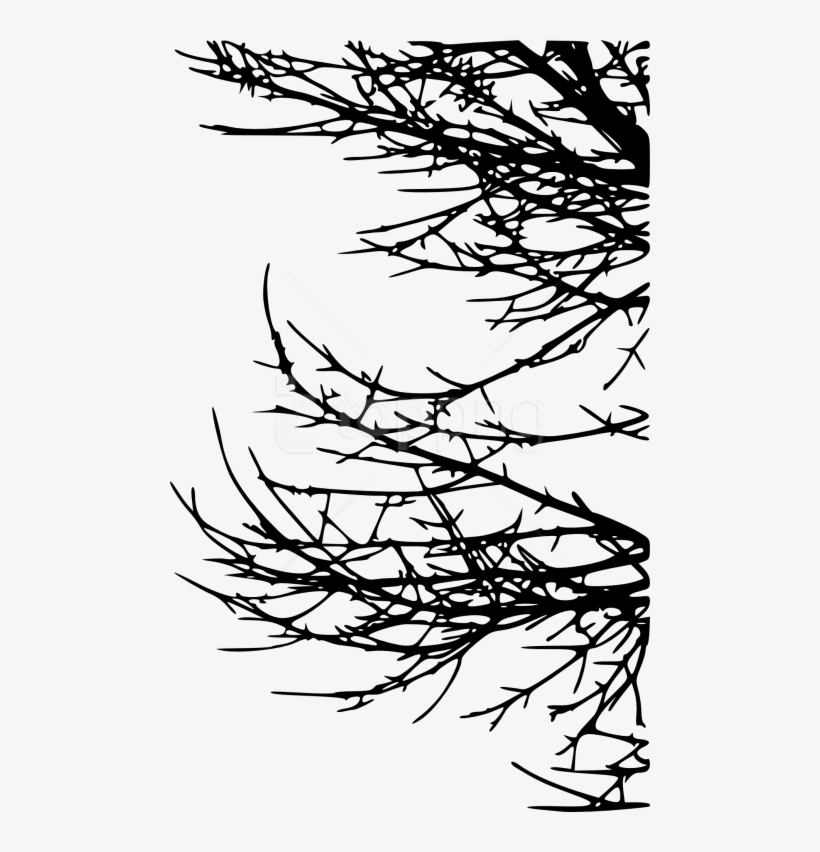 Free Png Tree Branch Png - Line Art - 480x772 PNG Download - PNGkit