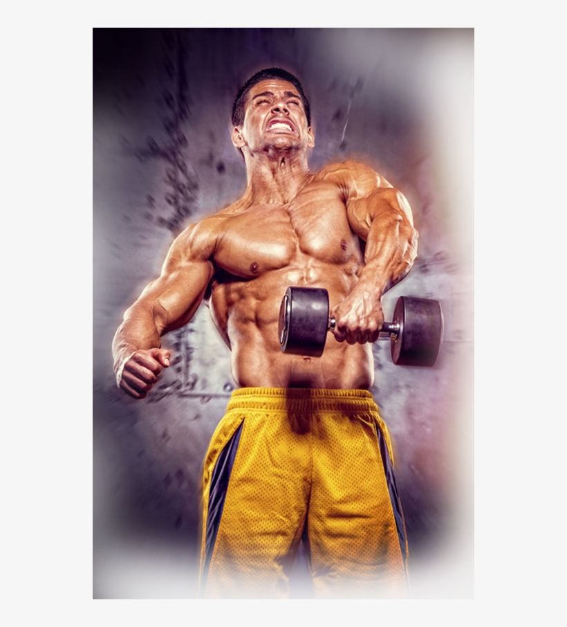 Explosive Muscle Growth - Bodybuilding - 552x826 PNG Download - PNGkit