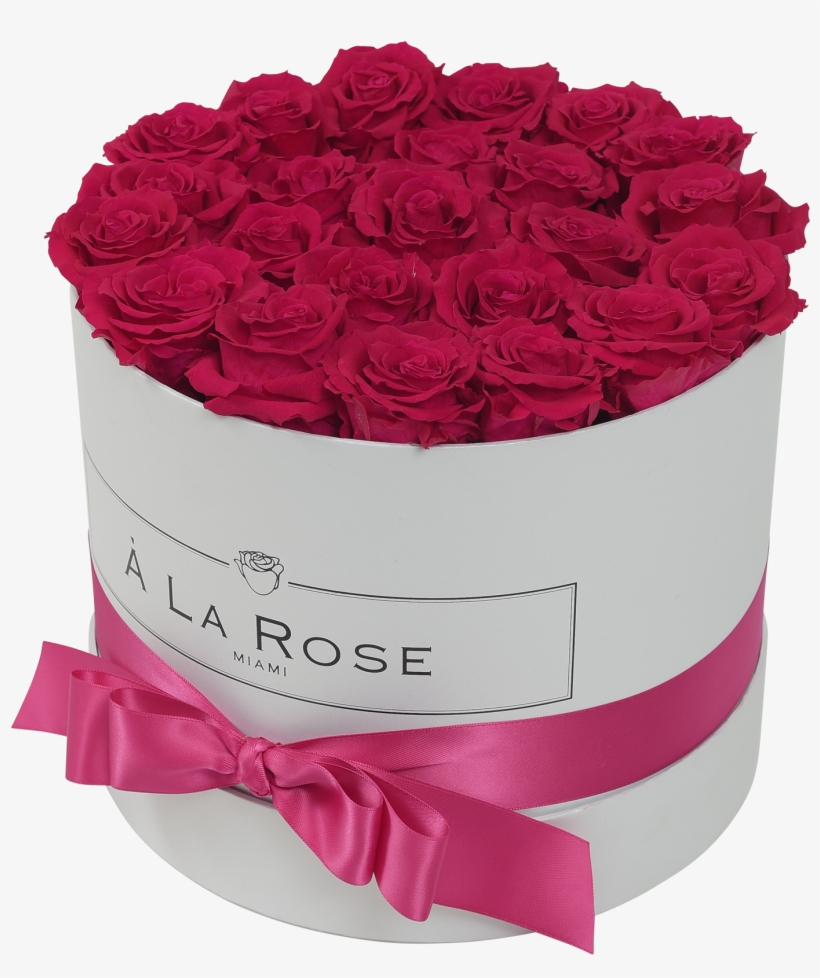 Orb Deluxe Hot Pink Roses - Garden Roses - 2000x2000 PNG Download - PNGkit
