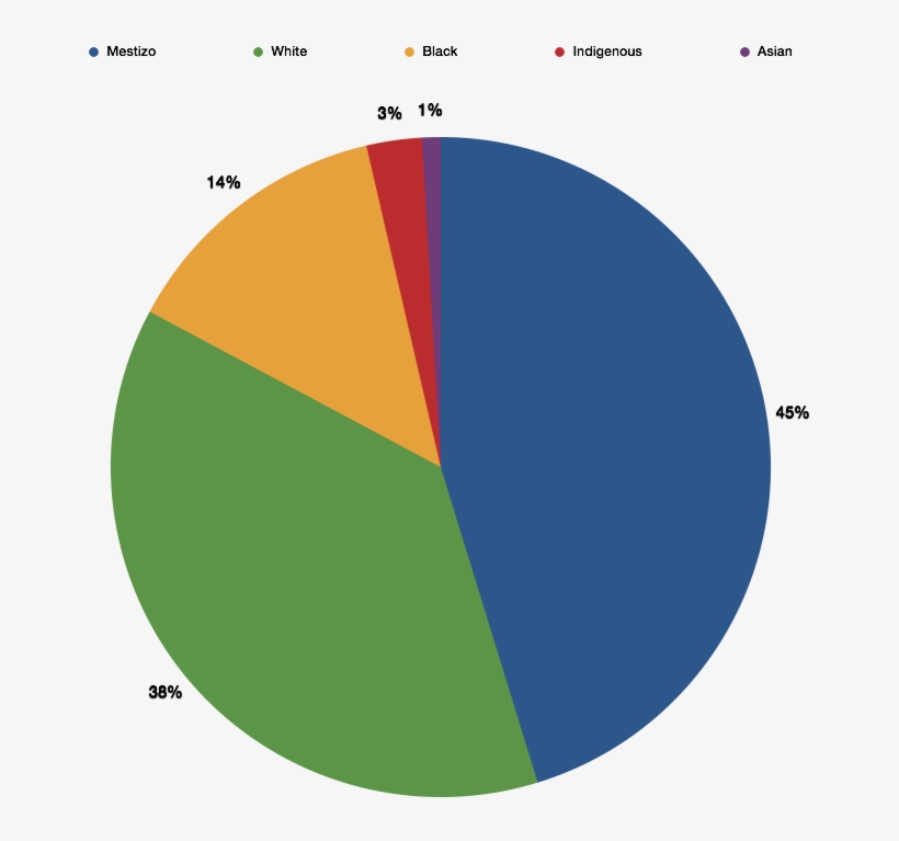 2015 Estimate Of Ethnicity In Colombia - Circle - 819x726 PNG Download ...