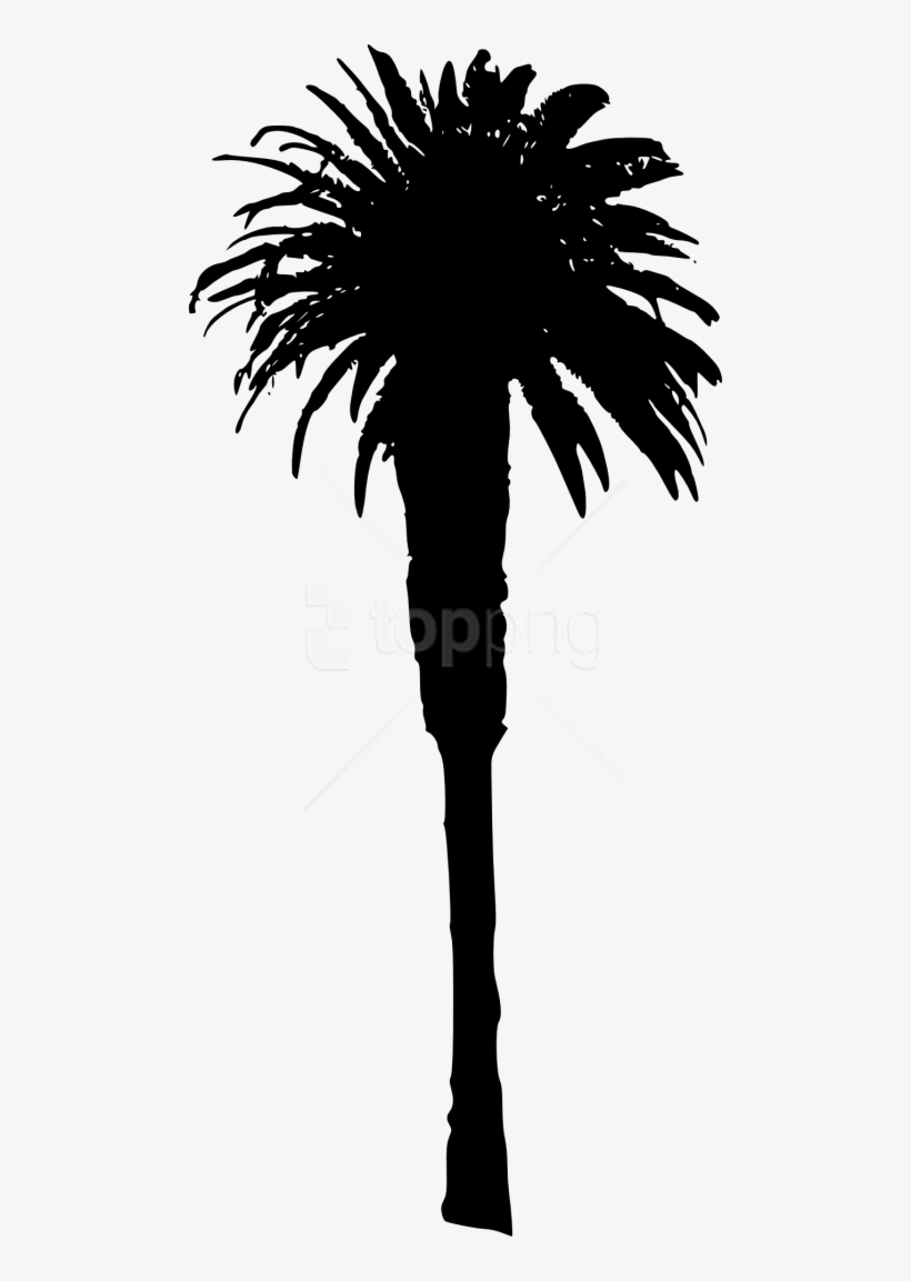 Free Png Palm Tree Png - Illustration - 480x1073 PNG Download - PNGkit