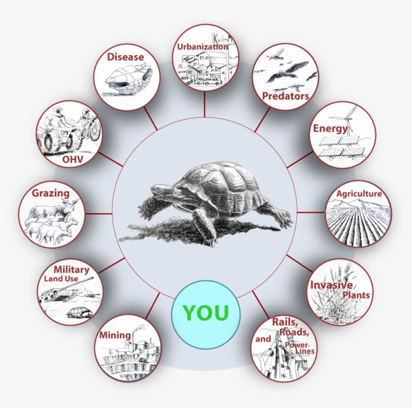 Human Impact Graphics For Dtpc - 955x931 PNG Download - PNGkit