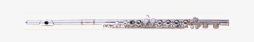 Fontaine C Flute Split E Mechanism Fbw107 - Piccolo Clarinet - 666x518 ...