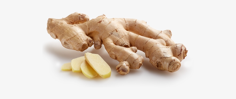 Fresh Ginger Root - Greater Galangal - 750x500 PNG Download - PNGkit