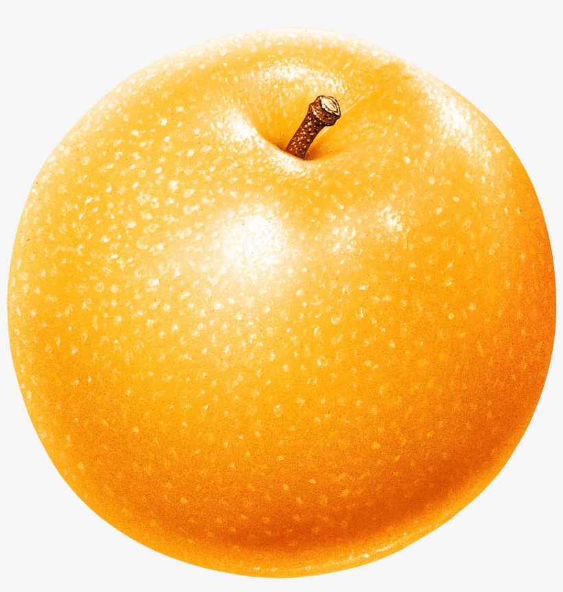 Orange And Apple Png - 1812x1820 PNG Download - PNGkit
