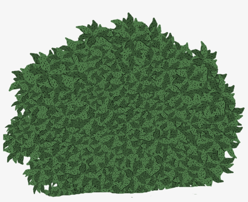 Hanging Moss - - 1600x1600 PNG Download - PNGkit