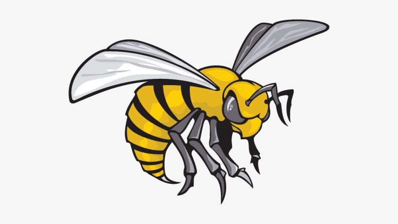 11 Sep - Alabama State University Bee - 538x383 PNG Download - PNGkit
