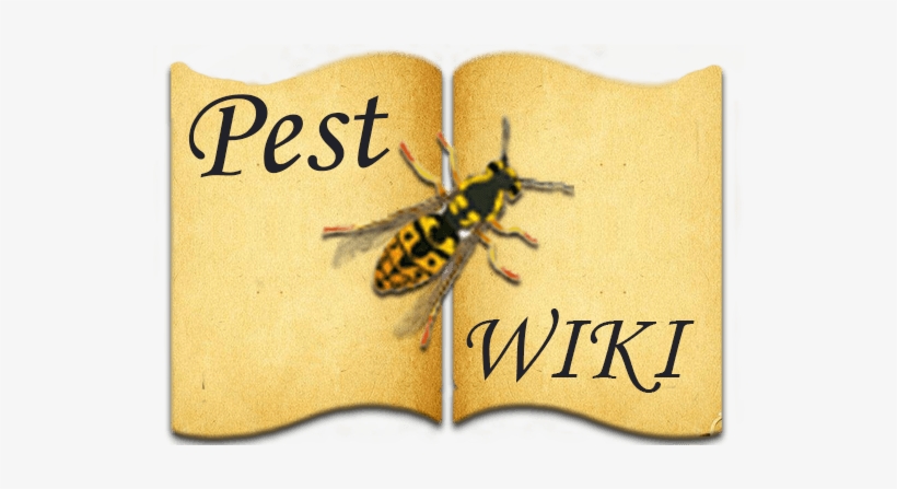 Sandfly - 542x367 PNG Download - PNGkit