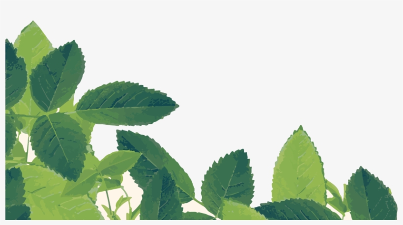 Baraka - - 880x470 PNG Download - PNGkit