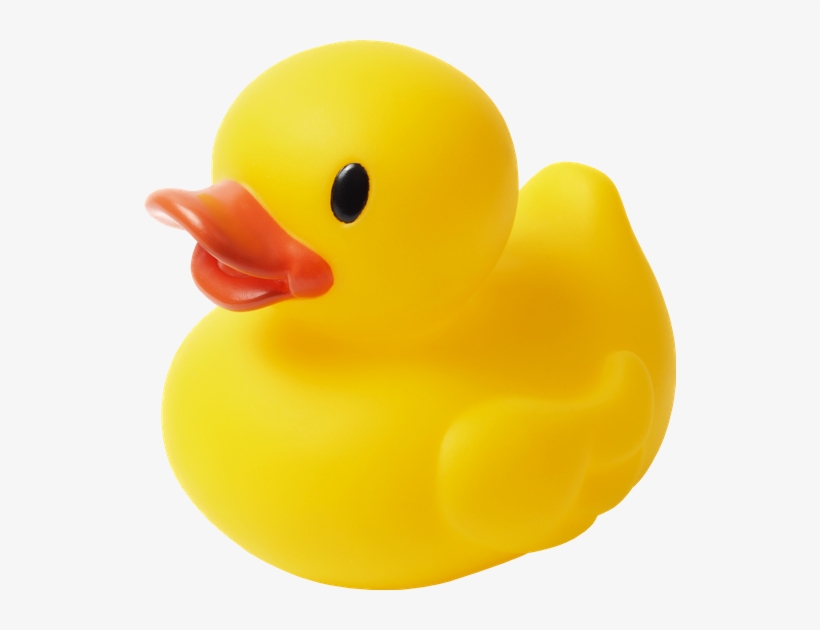 Duck Transparent Ducky - Rubber Duck Transparent Background - 532x550 ...