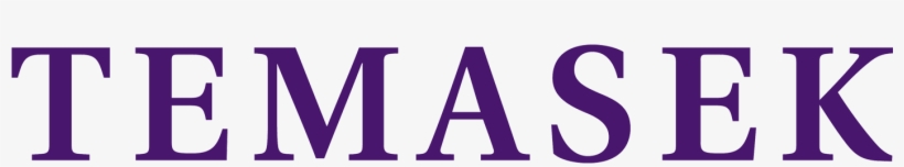 See Our Client Cases And Study Cases In Our Blog - Temasek Holdings ...