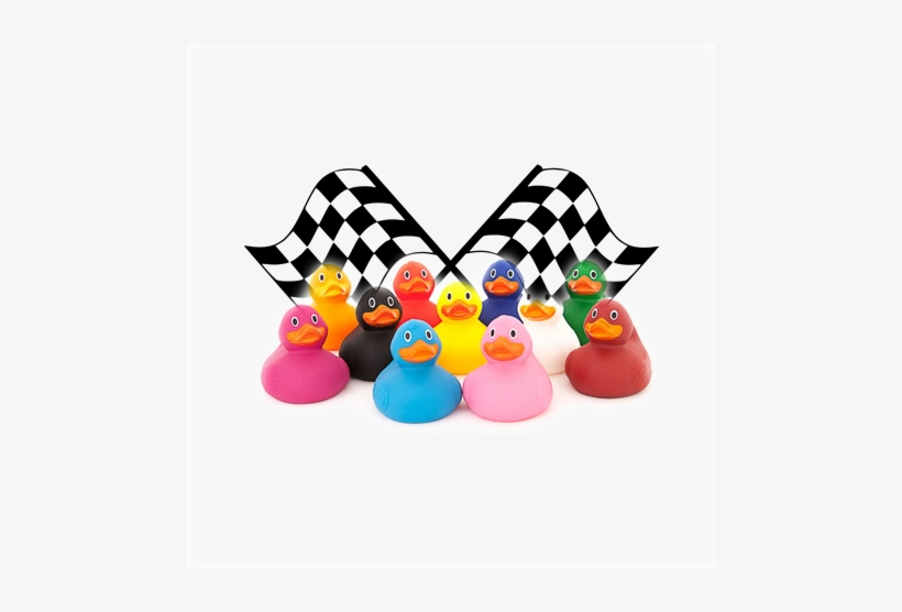 4 - Checkered Flag Go - 480x476 PNG Download - PNGkit