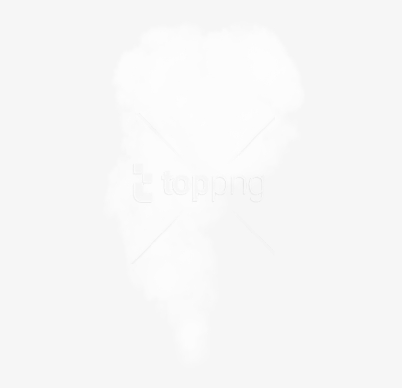 Free Png Download Smoke Large Png Images Background - Smoke - 480x739 ...