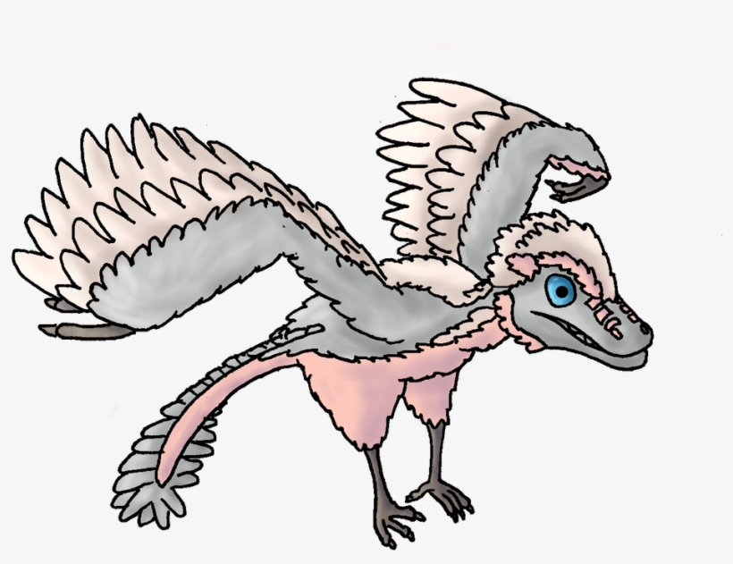 Survival Evolved Archaeopteryx By - Draw Ark Dinosaurs - 963x830 PNG ...