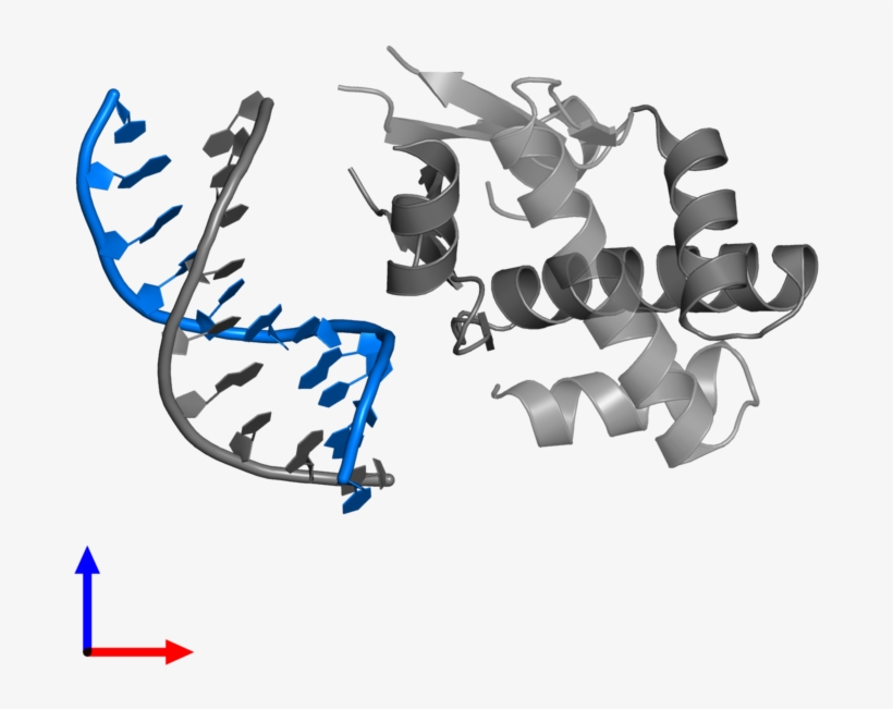 pdb Entry 4yew Contains 1 - Graphic Design - 800x800 PNG Download - PNGkit