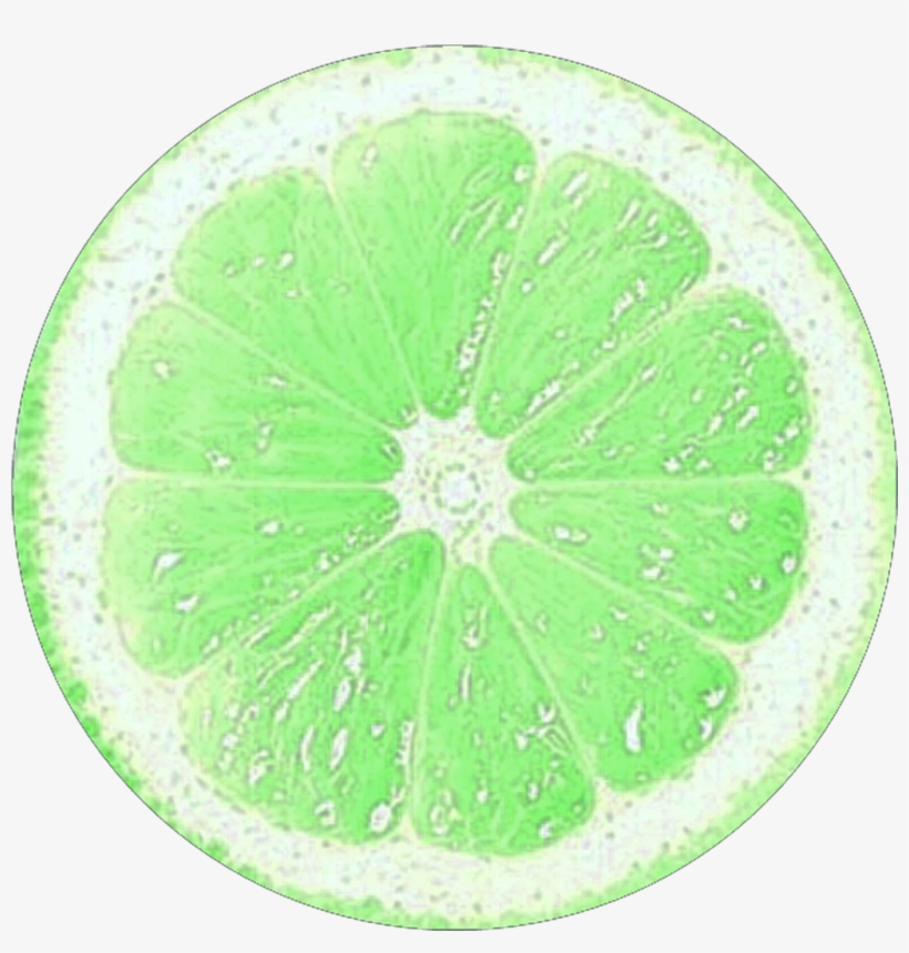 Circle Sticker - Lemon Slice - 1024x1024 PNG Download - PNGkit