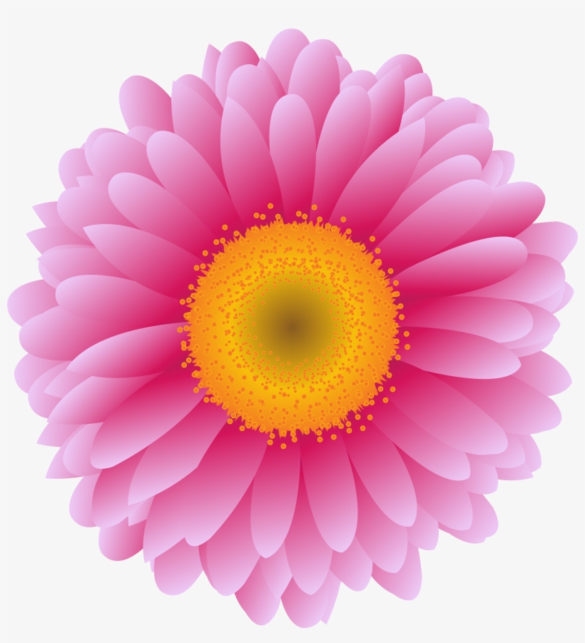 View Full Size - 7616x8000 PNG Download - PNGkit