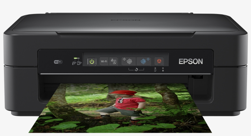 Windows Xp Start Button Png - 1500x748 PNG Download - PNGkit